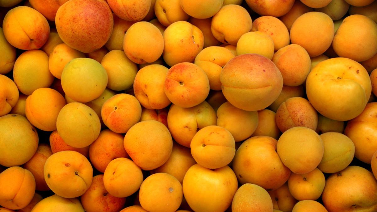 Alles Marille, oder was?