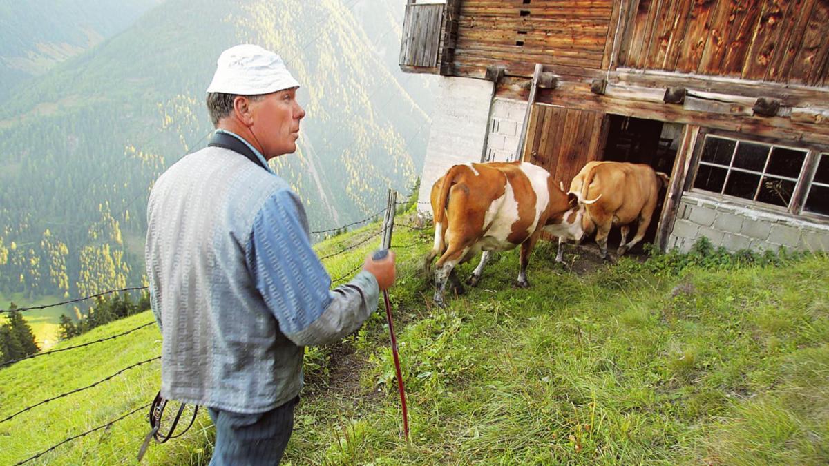 Ein heimischer Bauer verdient knapp 25.700 Euro | Kurier