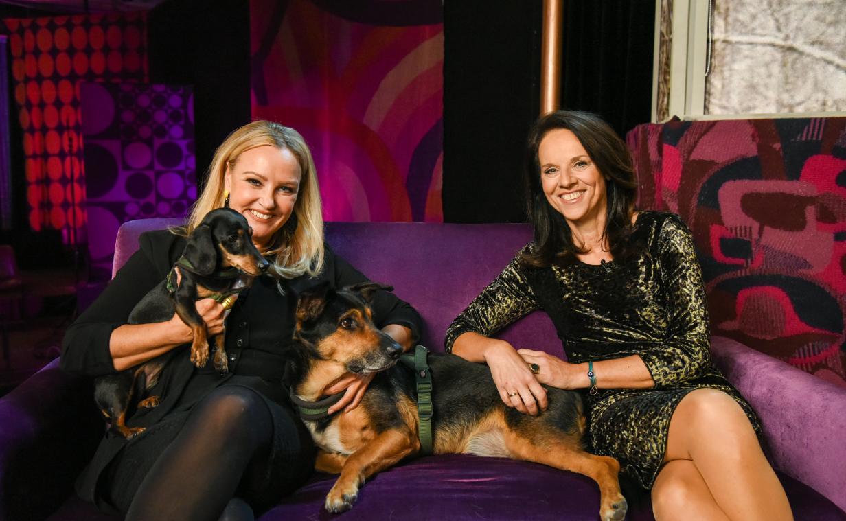 ORF-Moderatorin Verena Scheitz überlegt den Job zu wechseln | Kurier