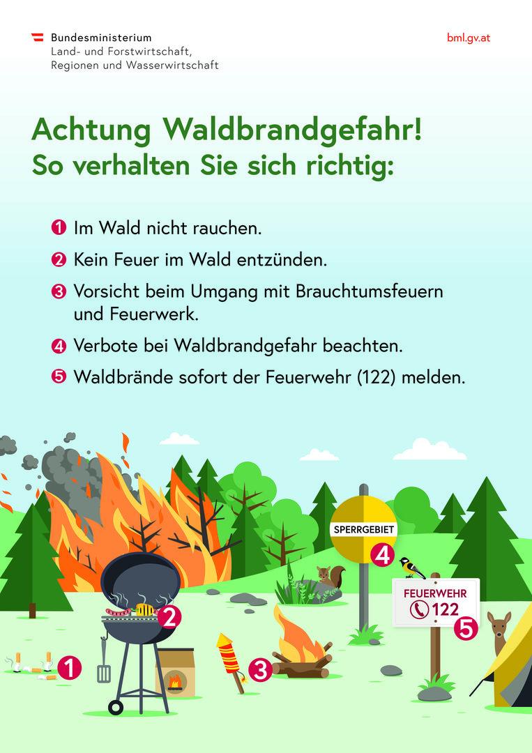 85 Prozent der Waldbrände sind von Menschen verursacht | Kurier