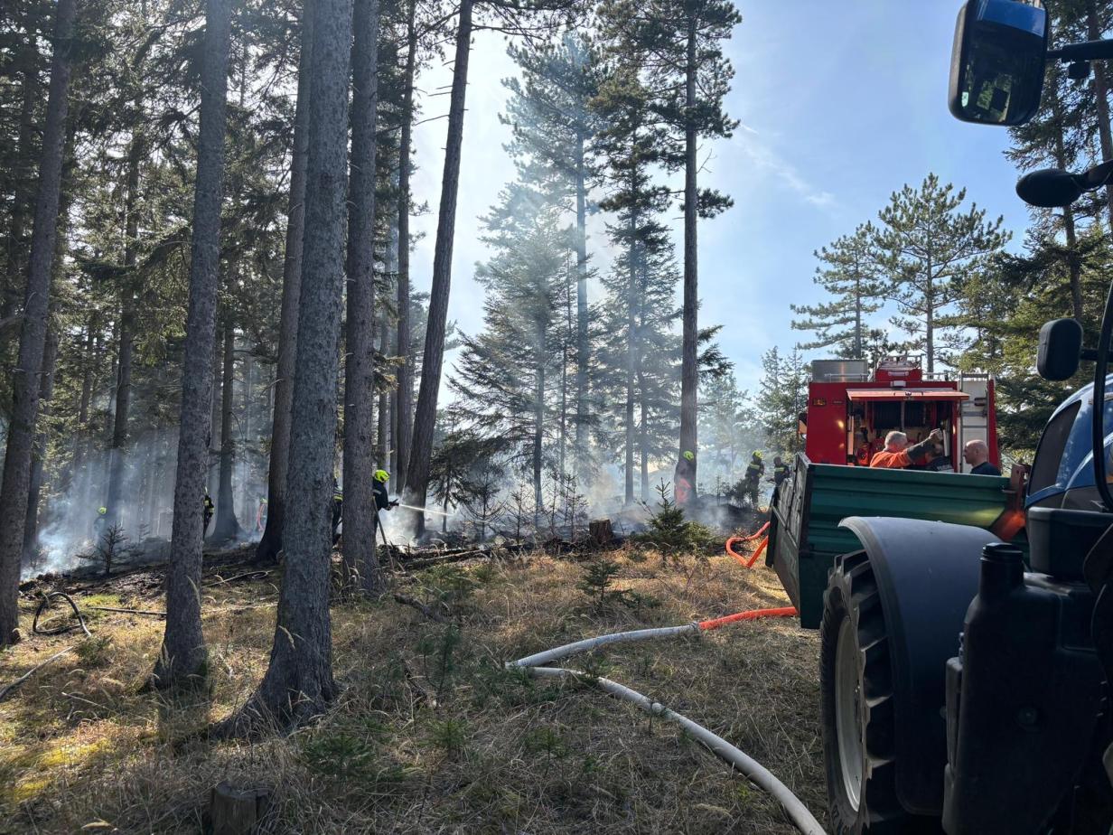 Niederösterreich: Waldbrand aus Flugzeug entdeckt | Kurier