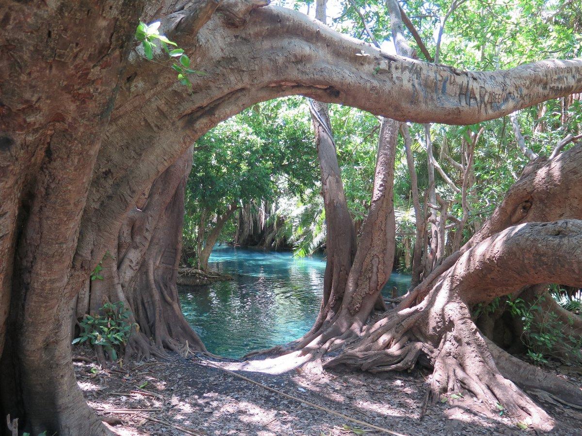 Beinahe zu schön, um wahr zu sein | Kurier