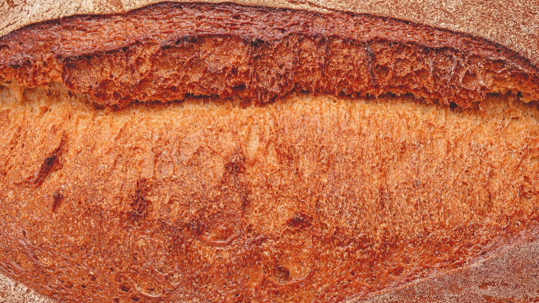 Brot: Bloß nicht auf die Kruste verzichten | Kurier