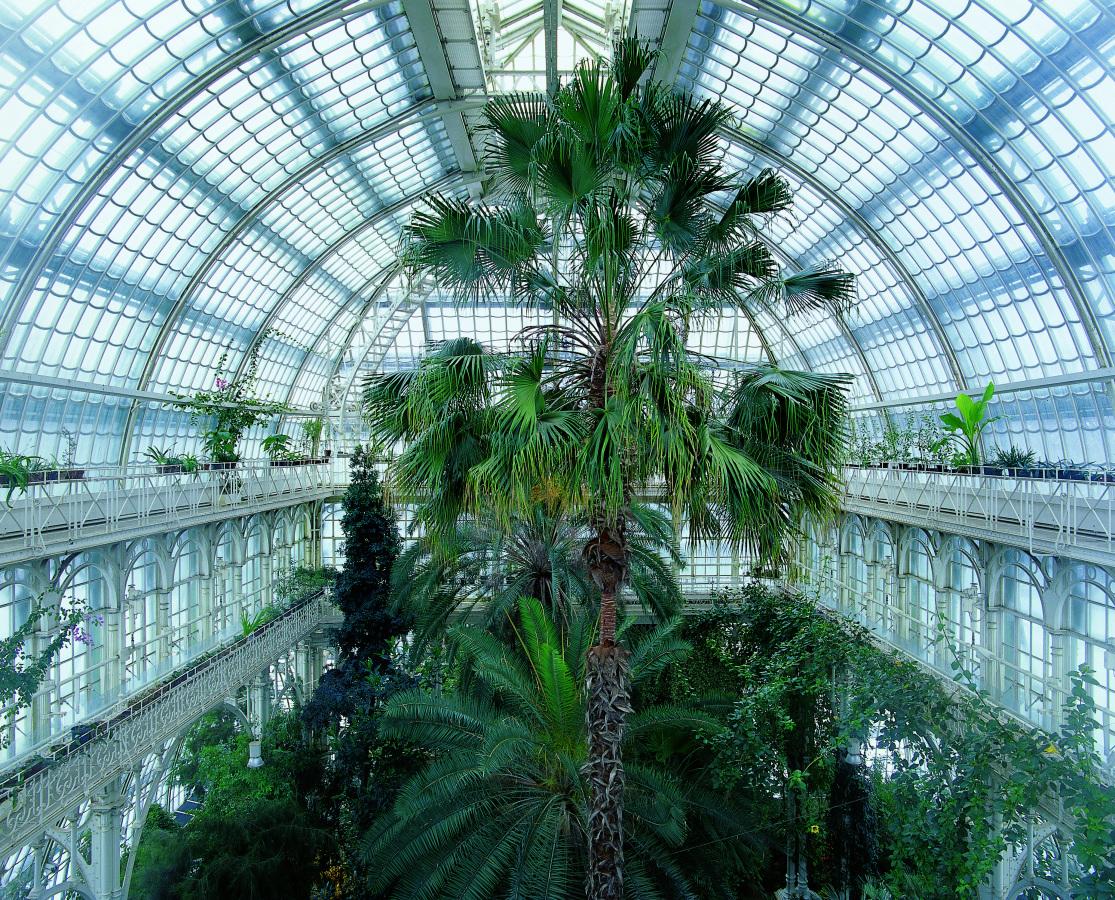 Das Palmenhaus ist wieder geöffnet | kurier.at