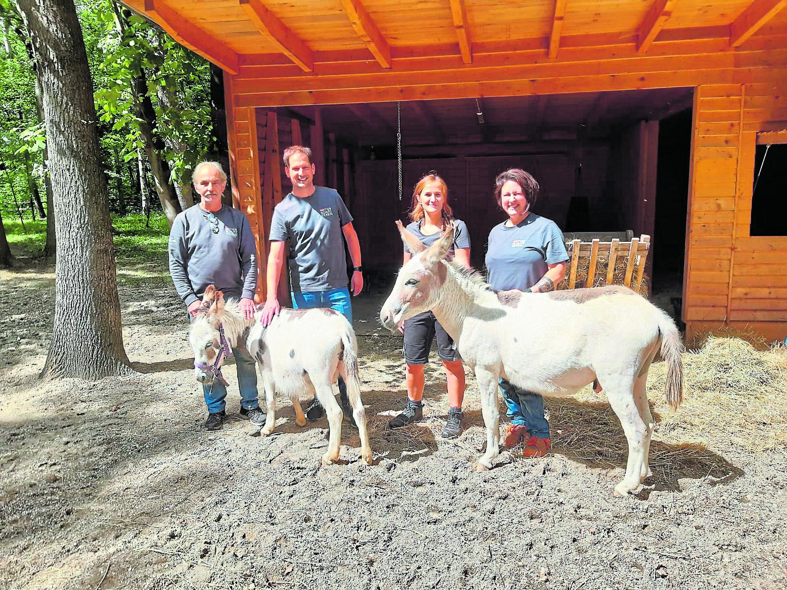 Assisi-Hof in Stockerau: Ein Herz für Tiere | Kurier