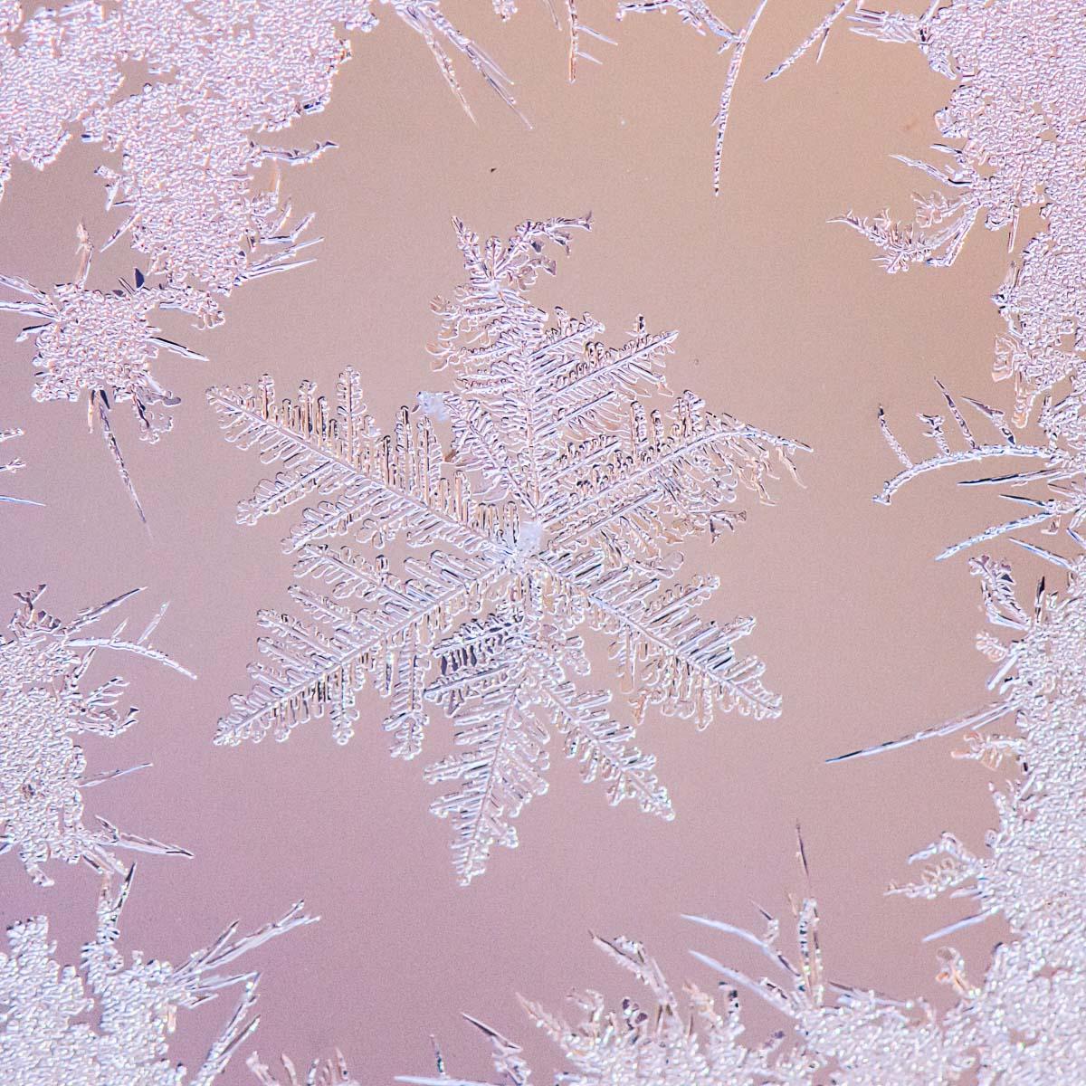 Eisblumen am Fenster – und andere eisige Kunstwerke der Natur | Kurier