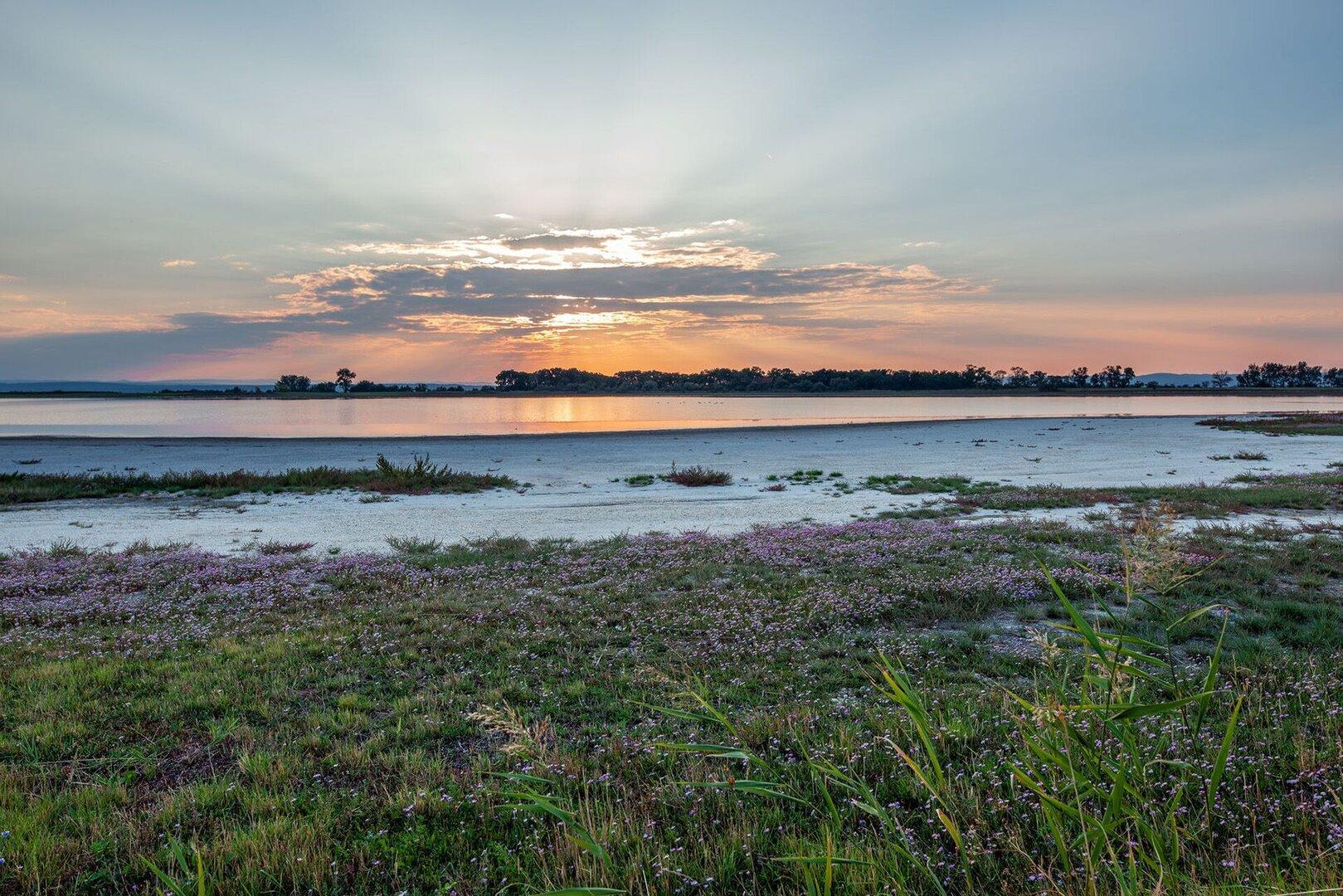 Der Neusiedler See ist derzeit sicher, die Lacken sind es nicht | Kurier