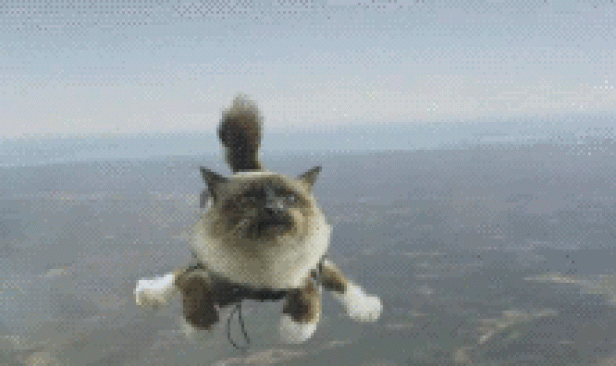 Miezen im freien Fall | kurier.at