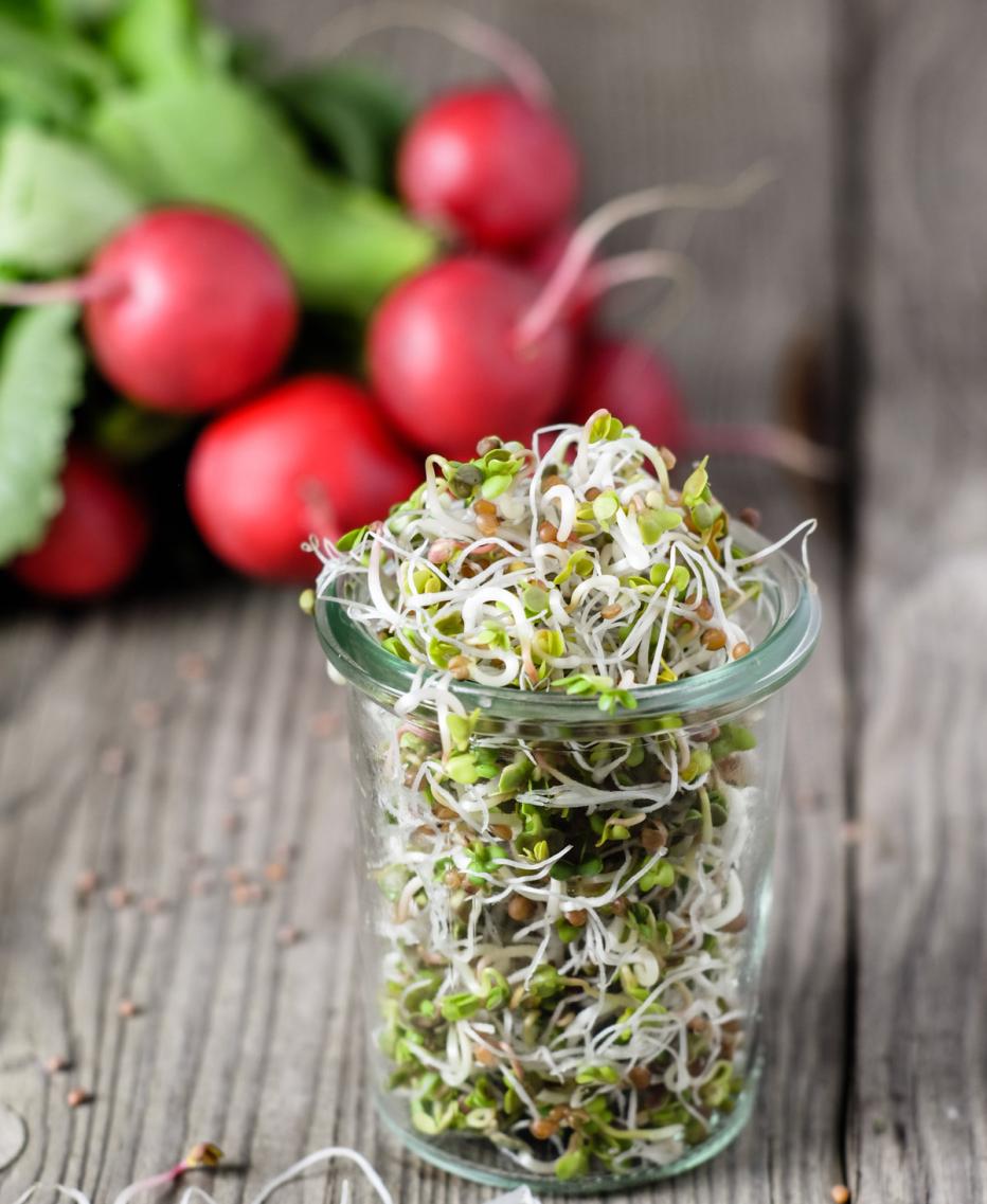 Keimlinge und Sprossen: selbst gezogene Kraftpakete für daheim | Kurier