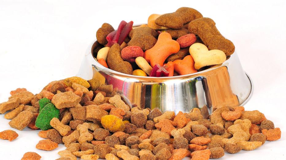 Hundefutter: Meist nur Durchschnittskost in der Dose | Kurier