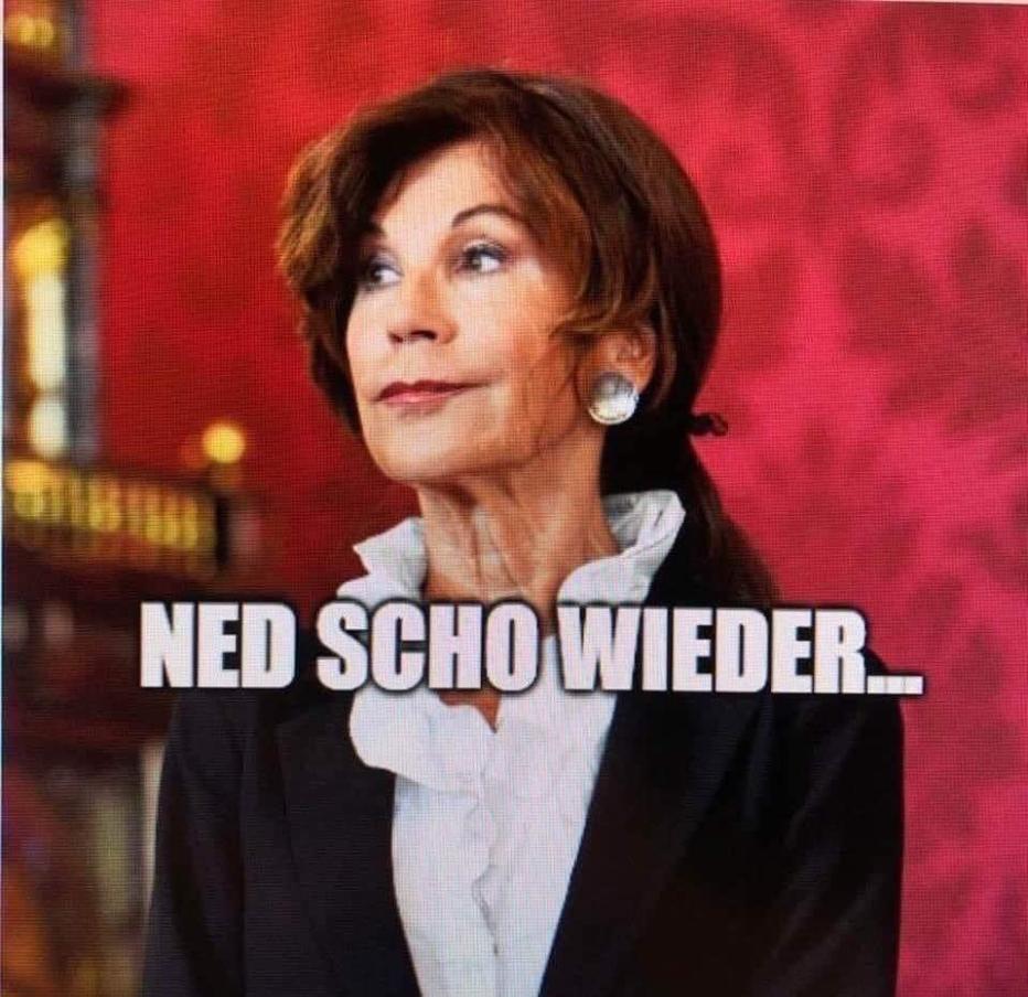 Memes, Memes, Memes: Wie das Netz der ÖVP-Krise mit Humor begegnet