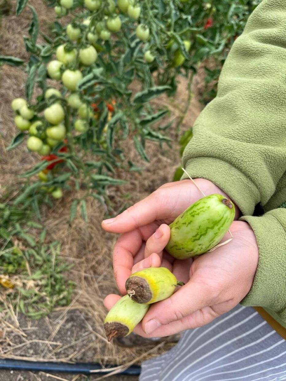 Sex lenasu the apartment is like a maze and finding an