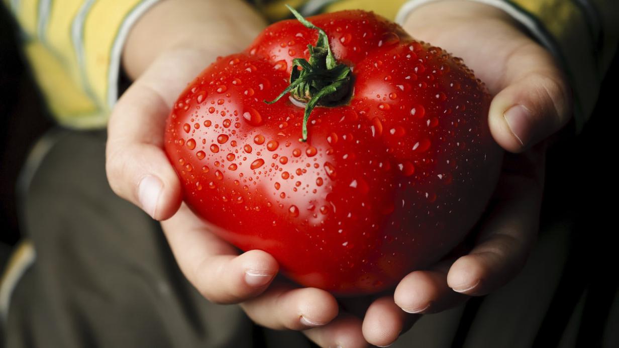 Warum wir rote Lebensmittel essen wollen | kurier.at