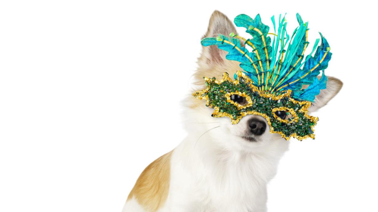 Fasching: Wir suchen Witz in Wort und Bild