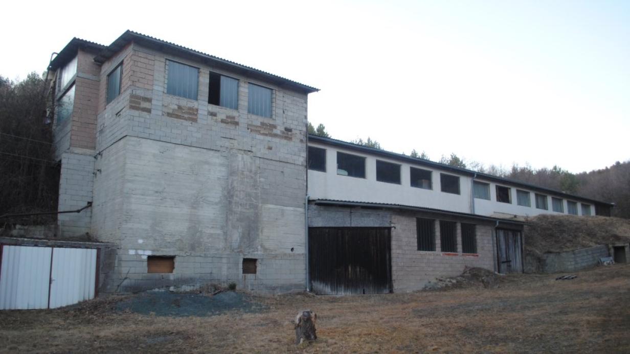 15-Jährige stürzte durch Hallendach