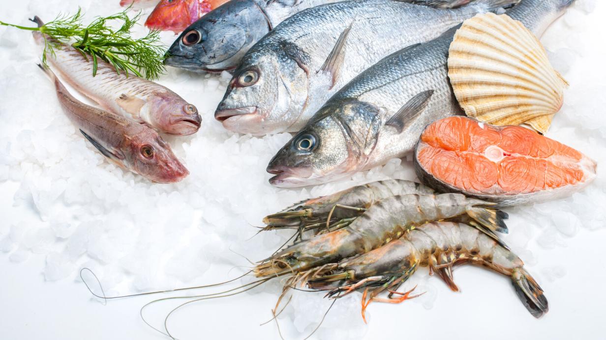 Neandertaler aßen Muscheln, Fisch und Robben