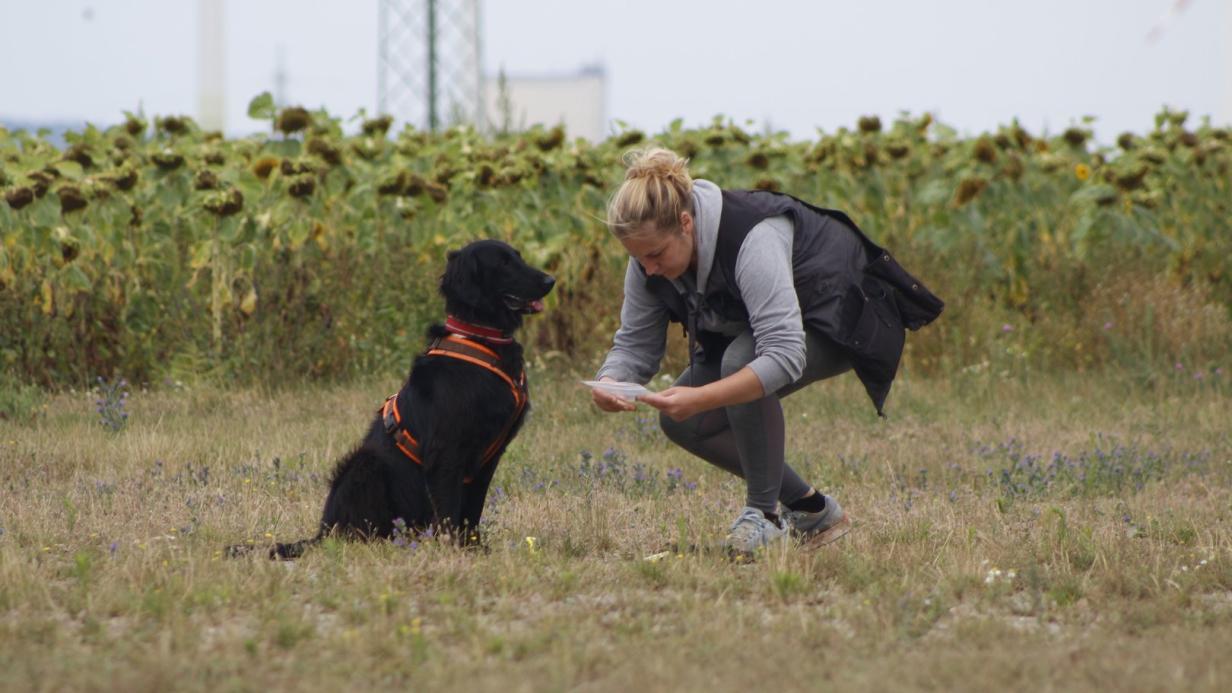 Geprüft: Schnüffeln für den Artenschutz | Kurier