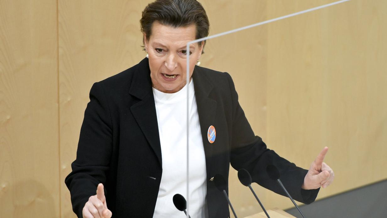 SPÖ-Frauen: Eva Maria Holzleitner soll Gabriele Heinisch-Hosek folgen ...