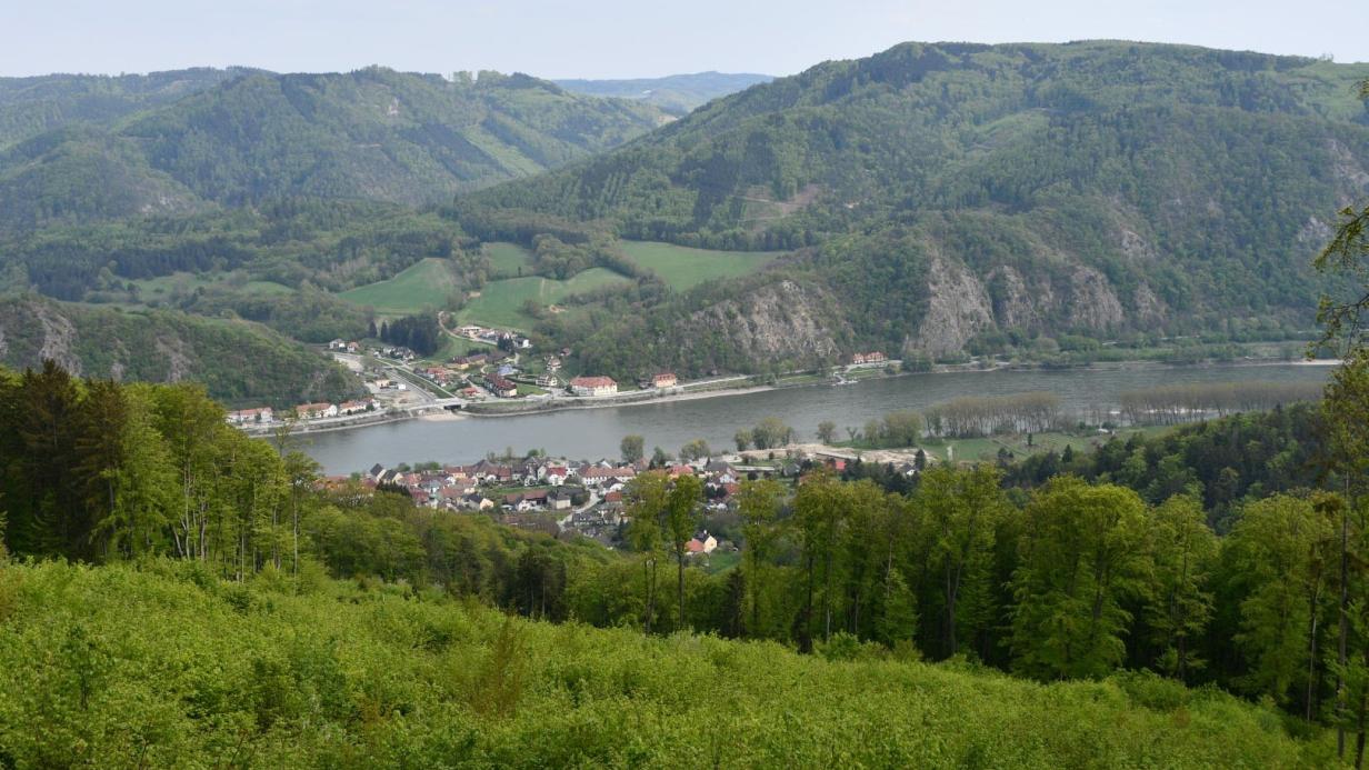 Wachauer Wanderung in Aggsbach mit viel Geschichte | Kurier