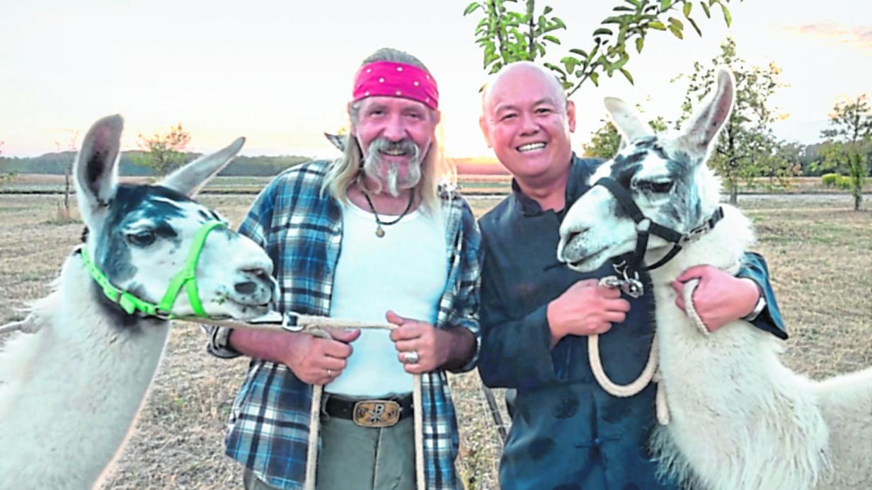 Lamas spiegeln die Seele der Menschen | Kurier