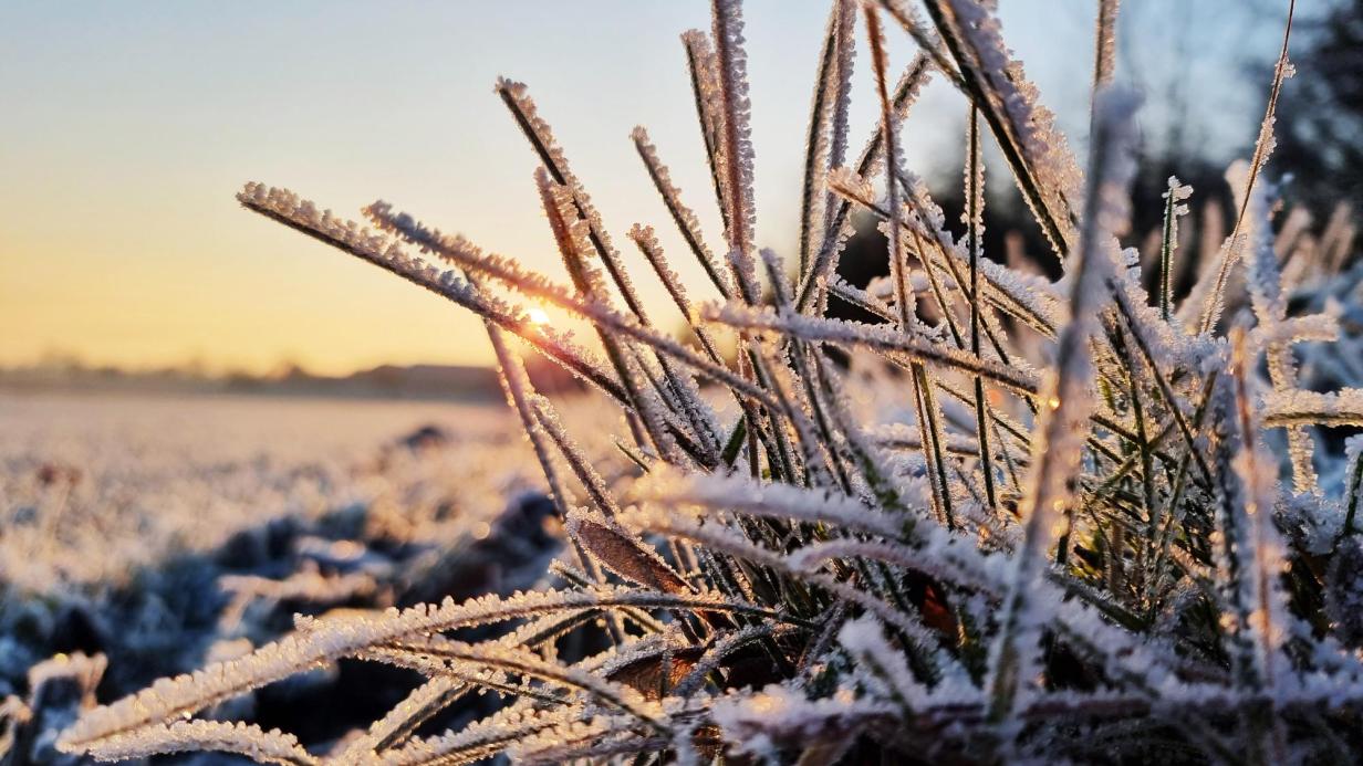 Minusgrade an allen Wetterstationen in Österreich gemessen | Kurier