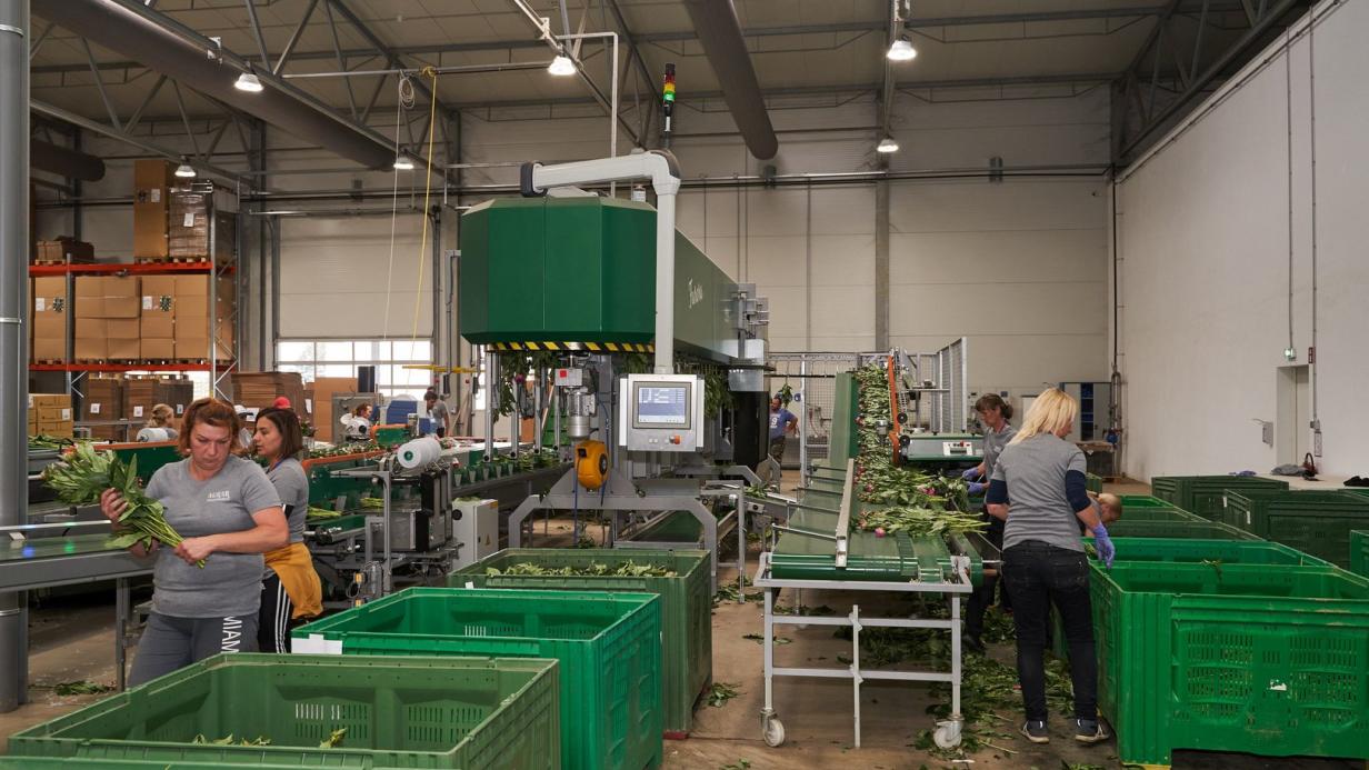 Millionenpleite eines bekannten Agrar-Produzenten | Kurier