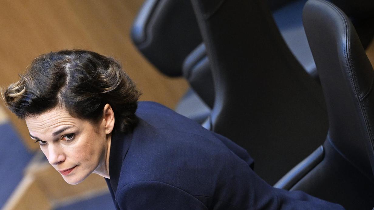 Ehemaliger roter NÖ-Landesgeschäftsführer für Rendi-Rückzug | Kurier