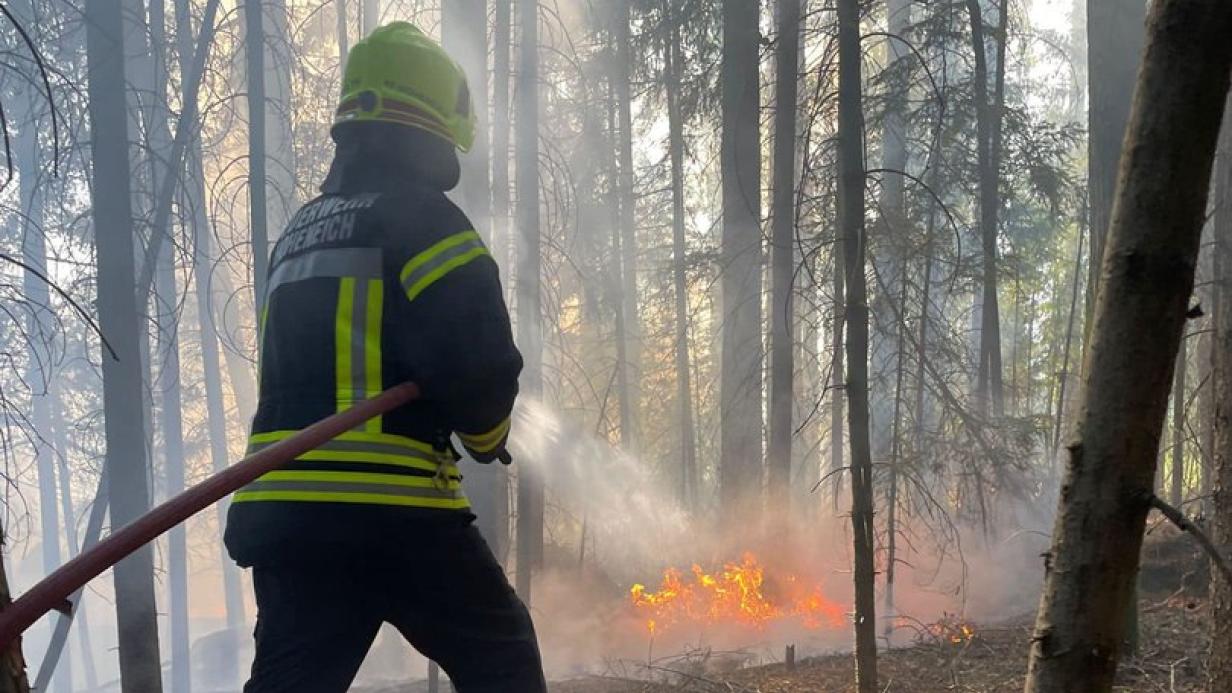 Hitze und Wind: Brand griff von Bahndamm auf Wald über | Kurier