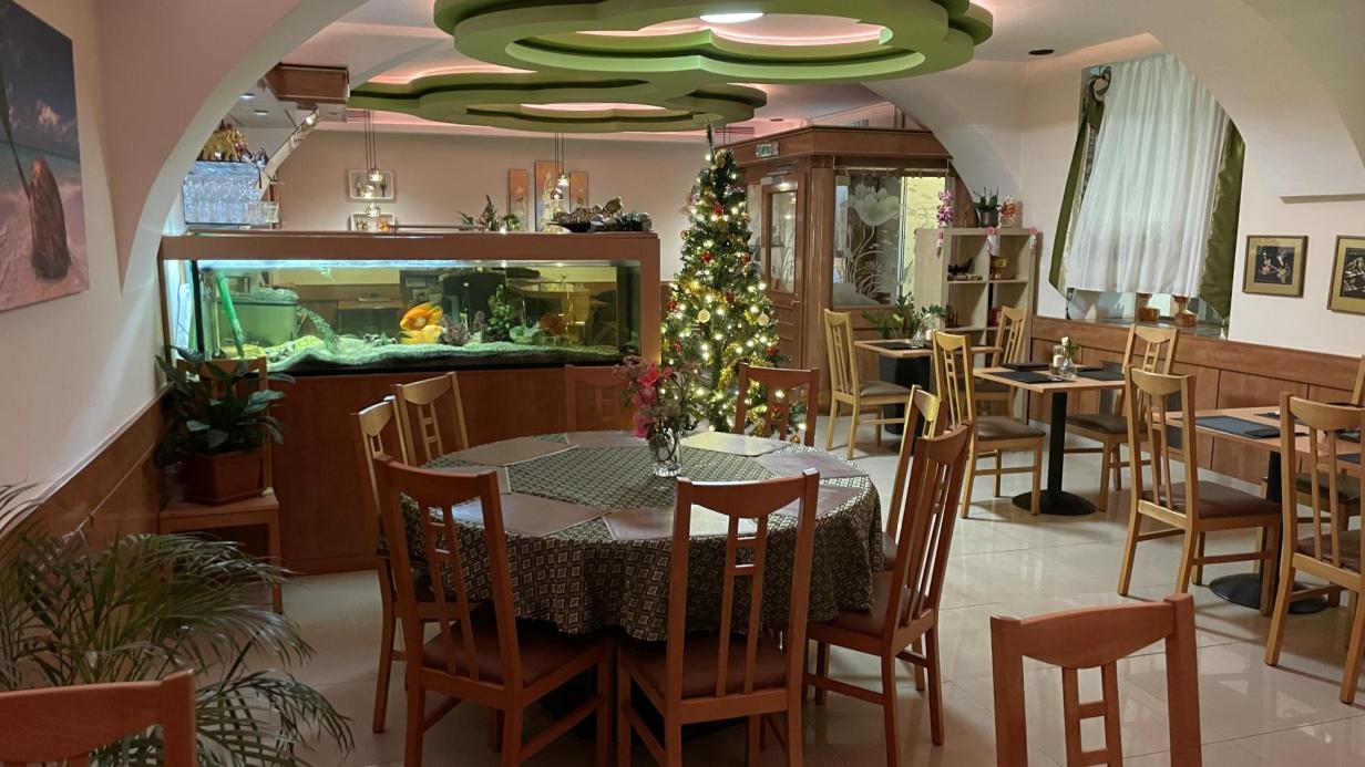 Asien in Linz: Zwei namenlose Papageifische im Linzer Coconut | Kurier