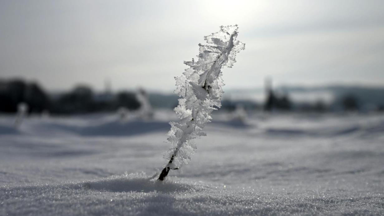 Minusgrade: Wie extreme Kälte auf den Körper wirkt | Kurier