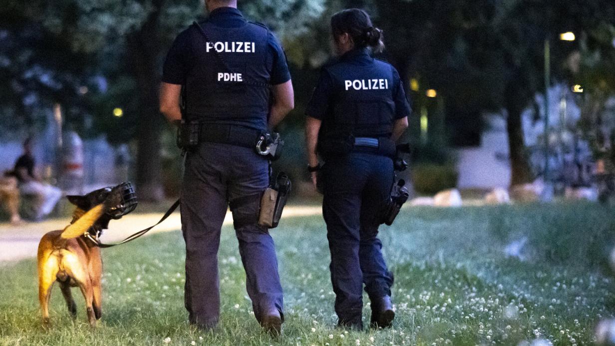 Polizeihund "Face" schnappte flüchtigen Einbrecher in Kärnten | Kurier