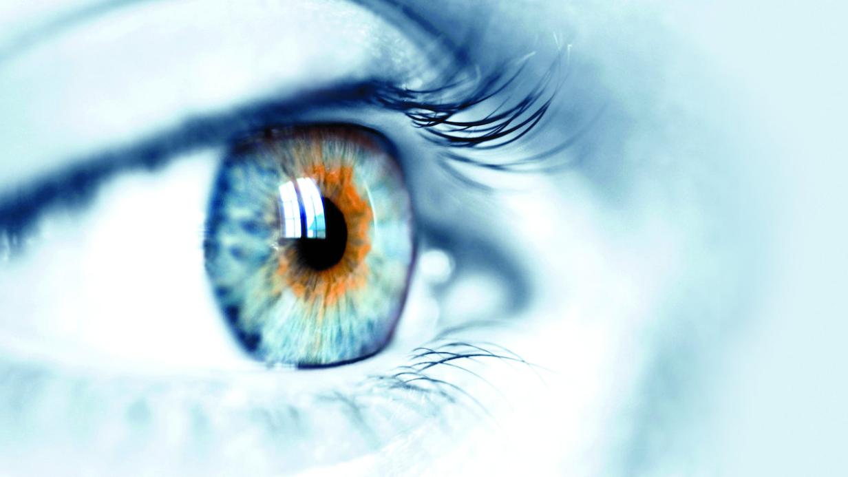 Sehen lernen | Kurier