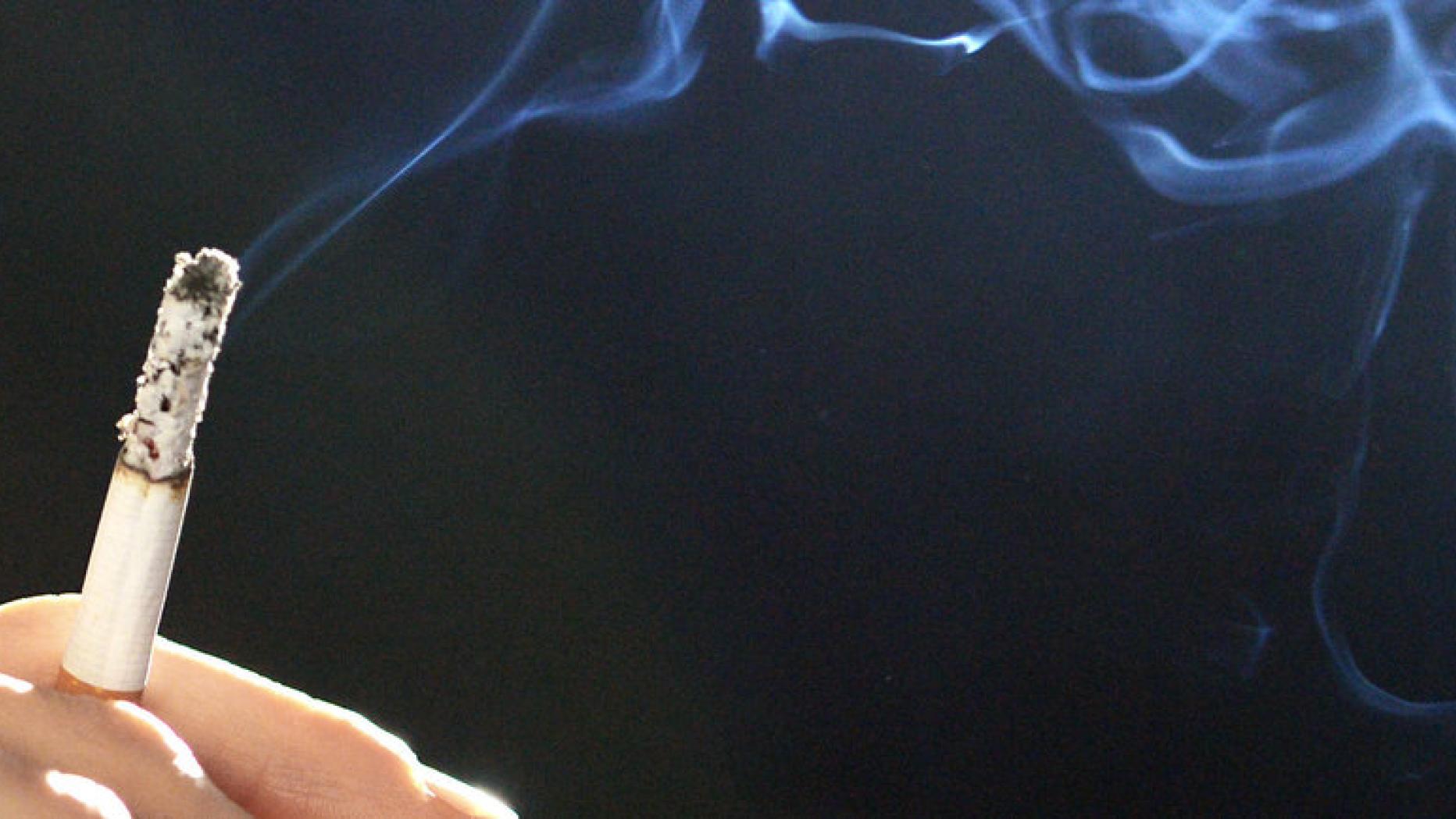 Rauch oder nicht Rauch? Köpfe qualmen im Parlament | Kurier