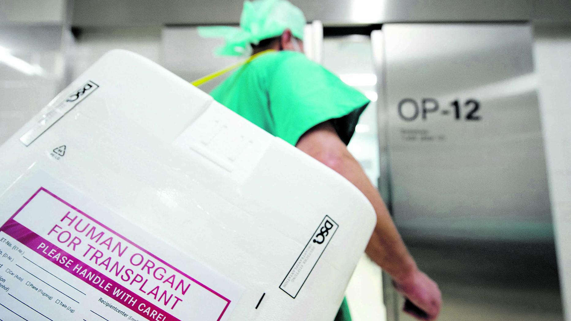 Organtransplantation: Wie sie vielen Menschen das Leben rettet | Kurier