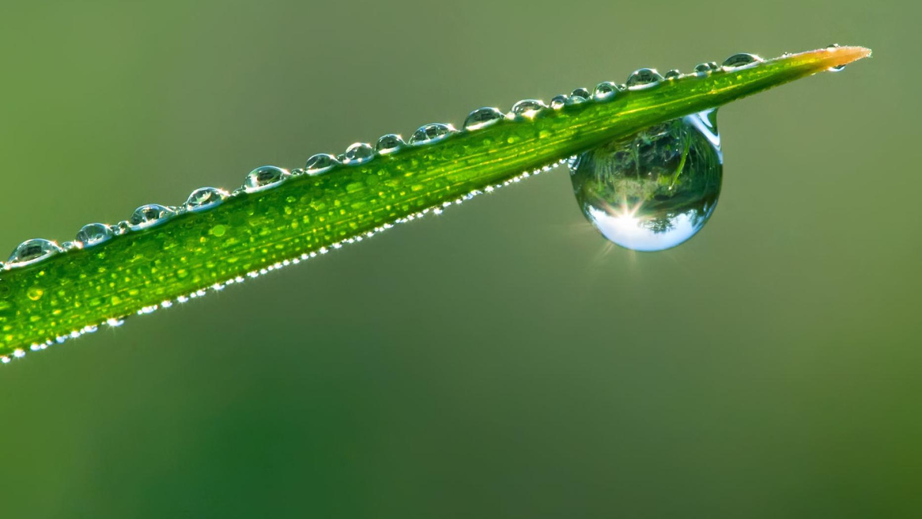 Die ganze Welt, ein Wunder: Warum wir alle mehr staunen sollten | Kurier