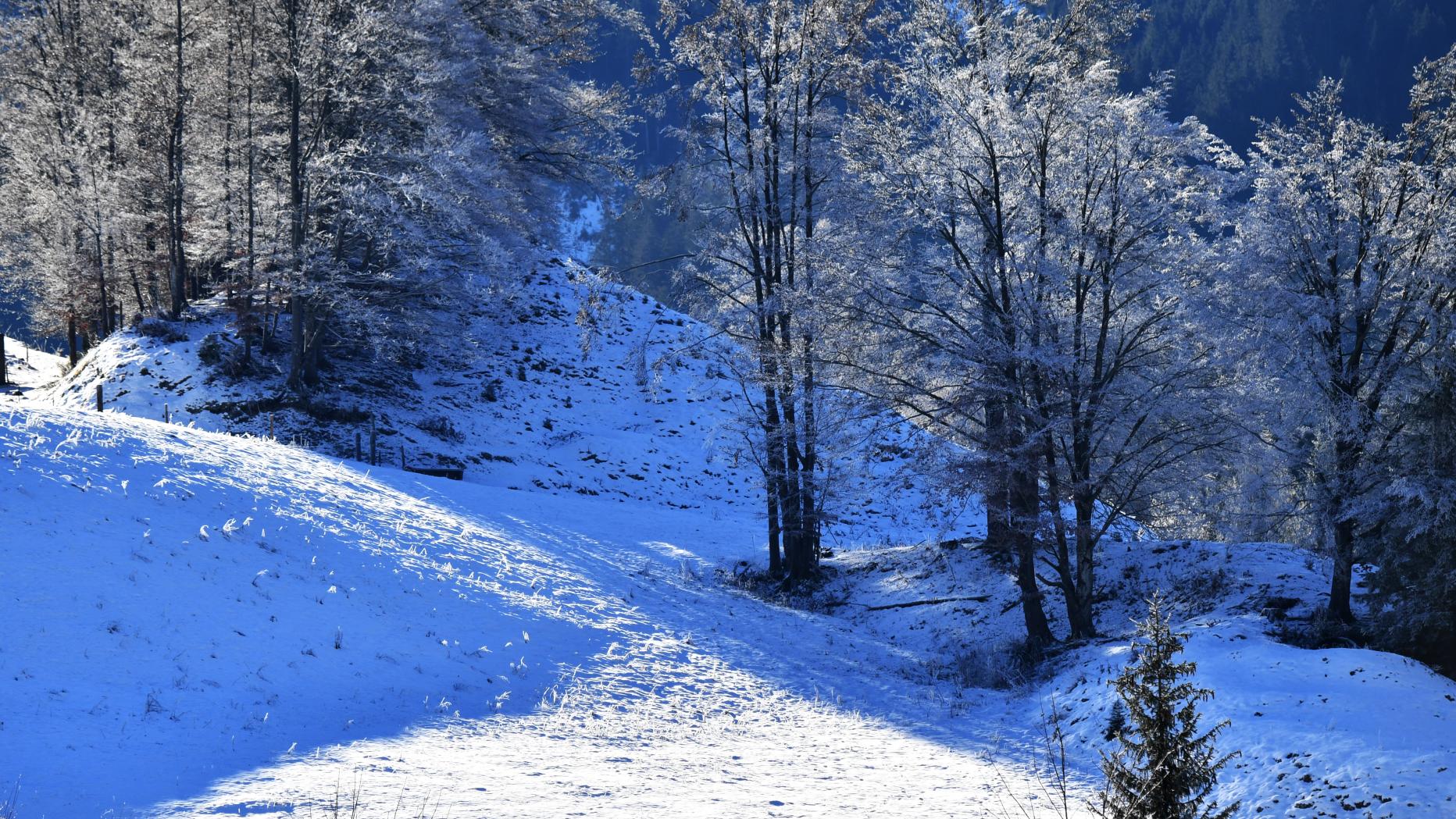 Wetter wird warm, regnerisch und stürmisch ab Donnerstag