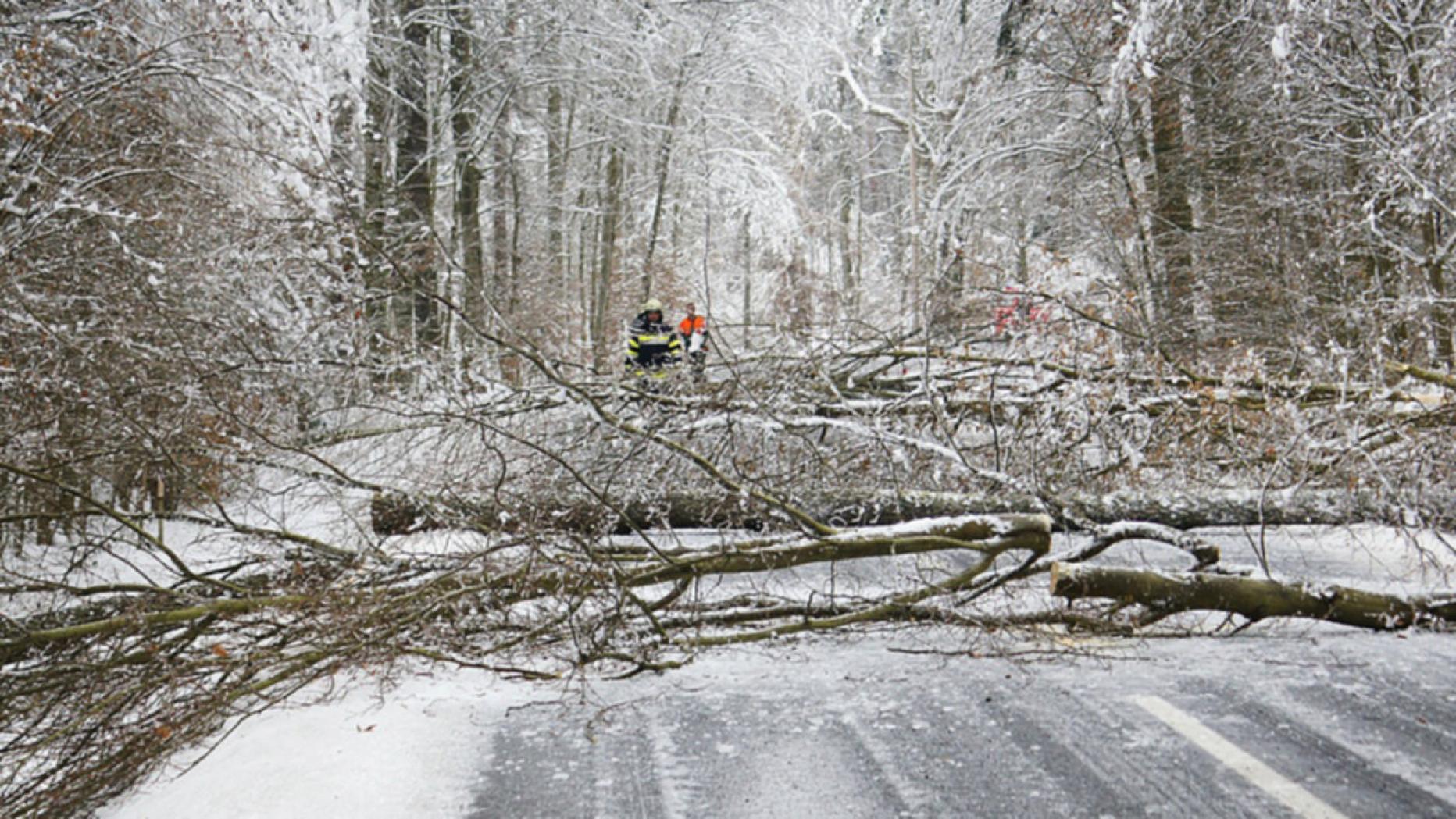 Schneechaos: Tausende Haushalte ohne Strom | Kurier