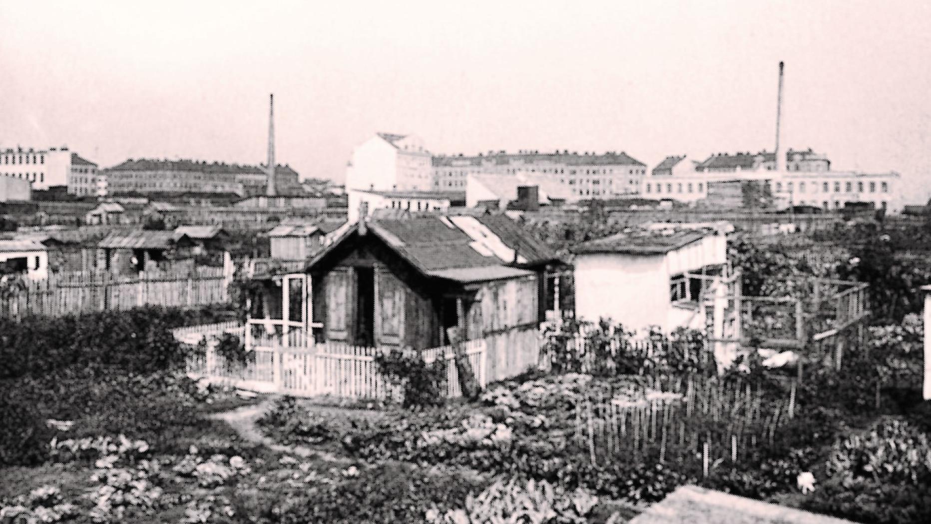 Wie Herr Schreber in den Kleingarten kam | Kurier