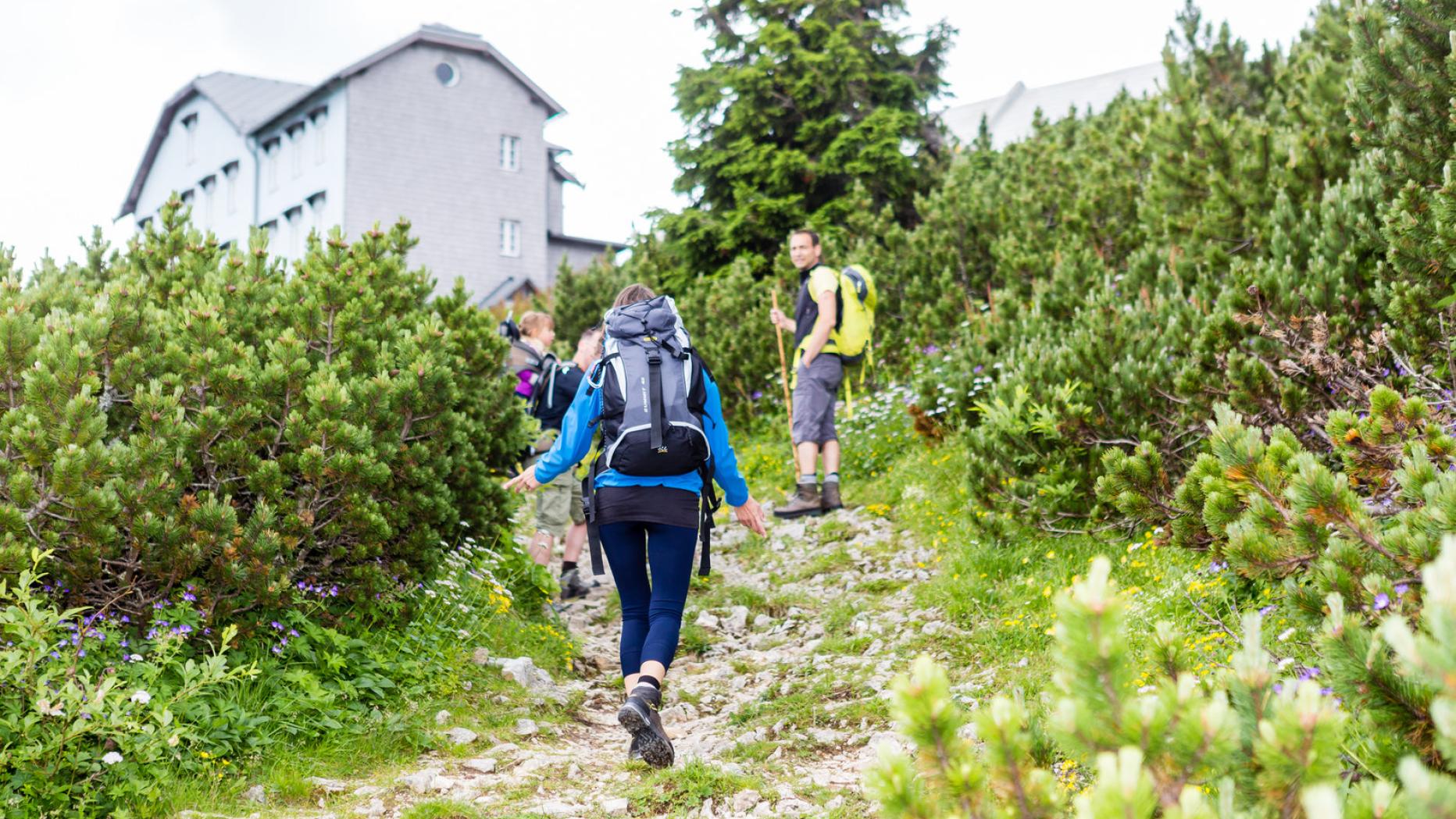 Strafzettel für uneinsichtige Wanderer beim Gipfelsturm | Kurier
