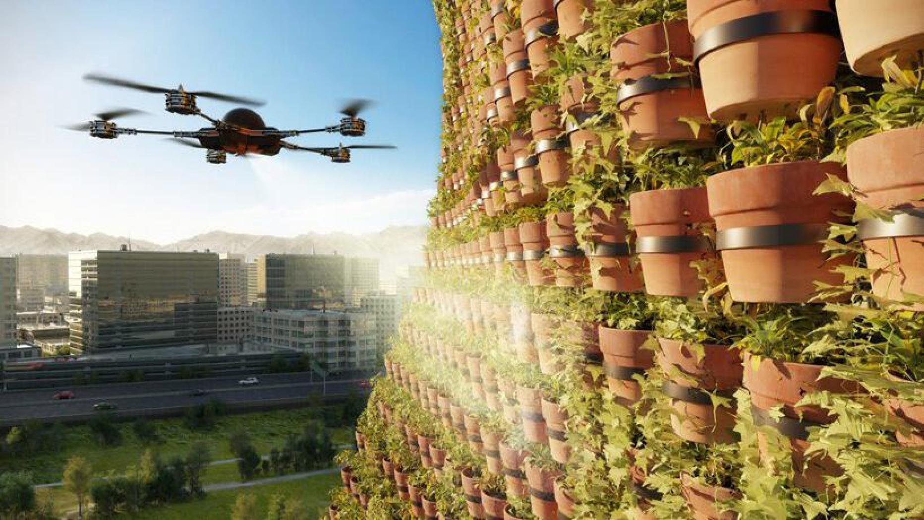 Jeder Topf findet seine Pflanze | Kurier