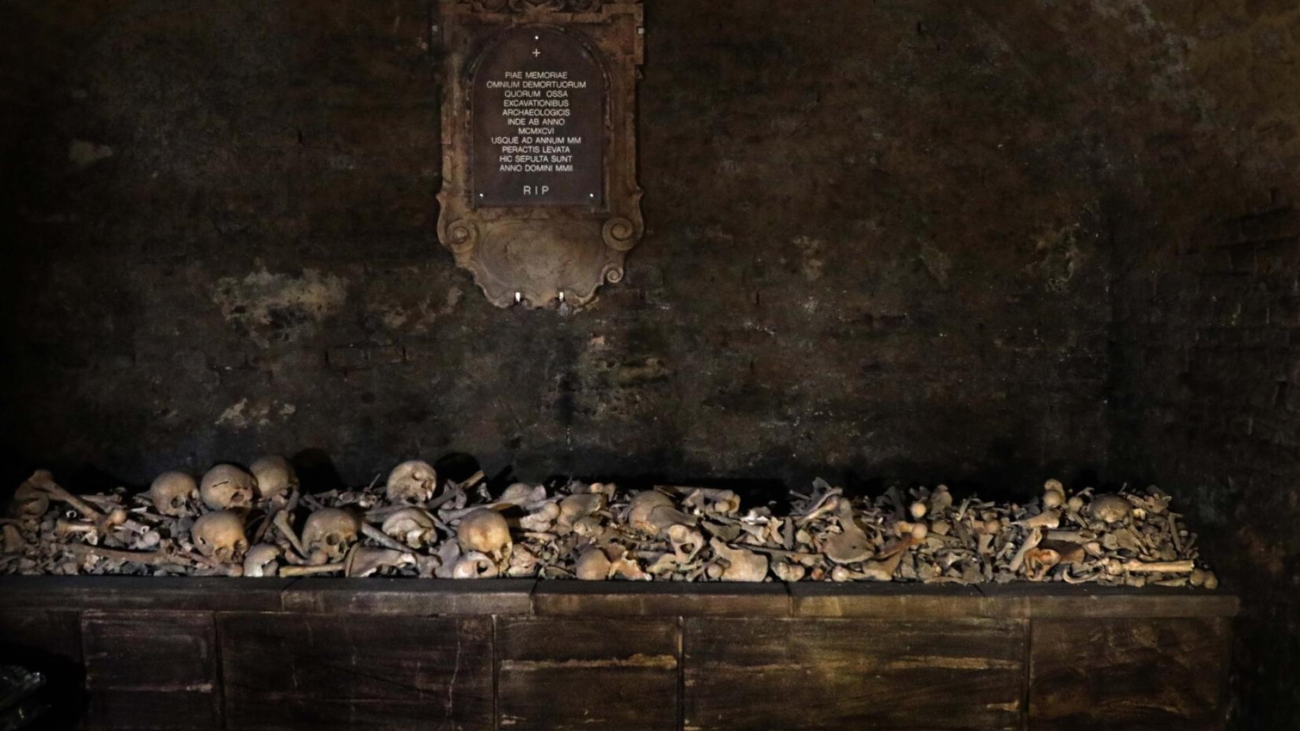 7 Gründe, warum Wien wirklich morbid ist | Kurier