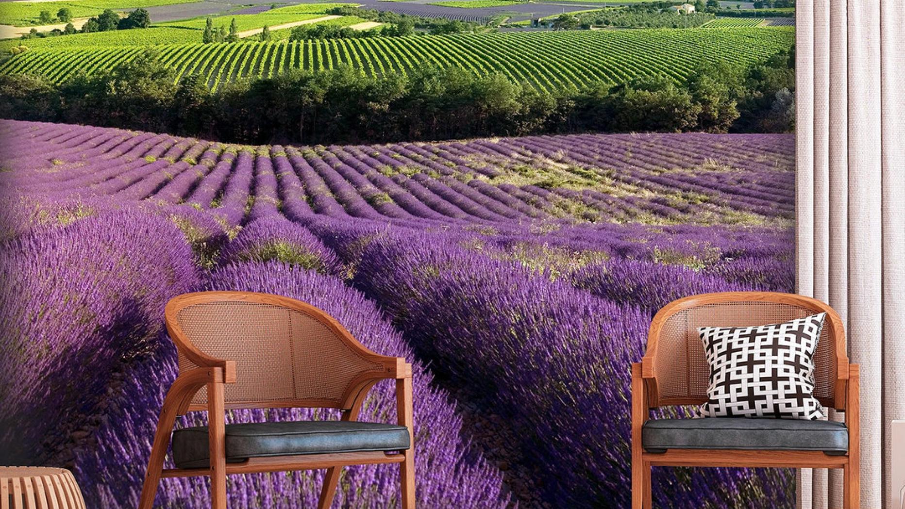 Im Trend: Violett - die Farbe der Provence | Kurier