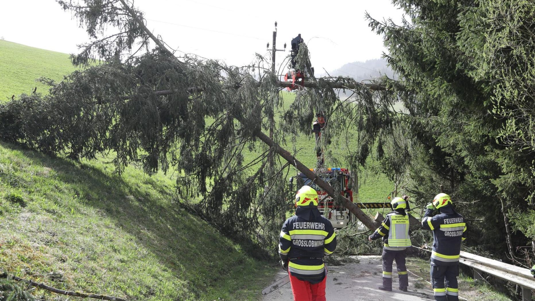 Nach dem Oster-Sturm kommt nun typisches April-Wetter | Kurier