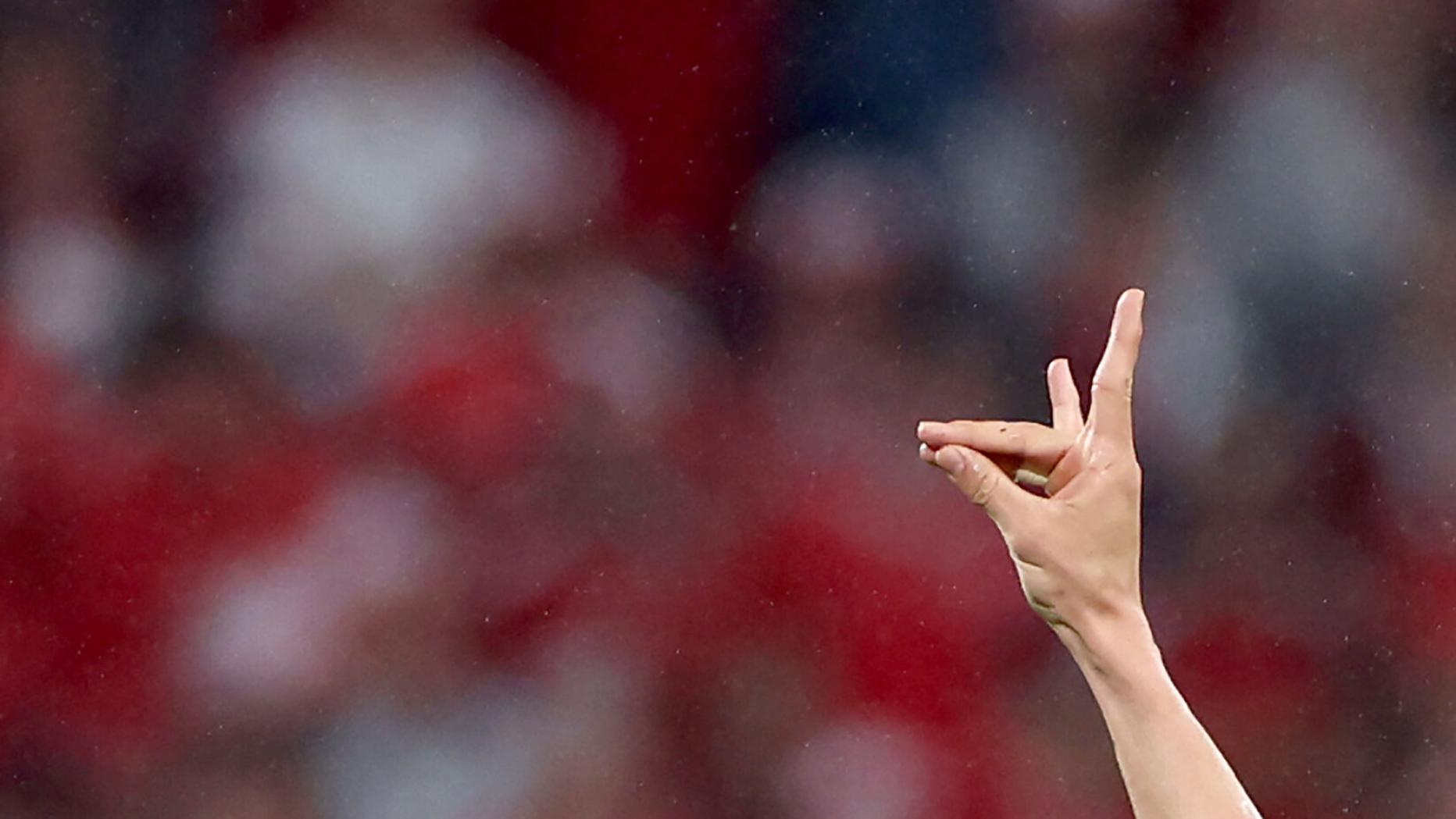 Wolf, Fuchs und Adler: Die Symbolwirkung der schlimmen Finger | Kurier