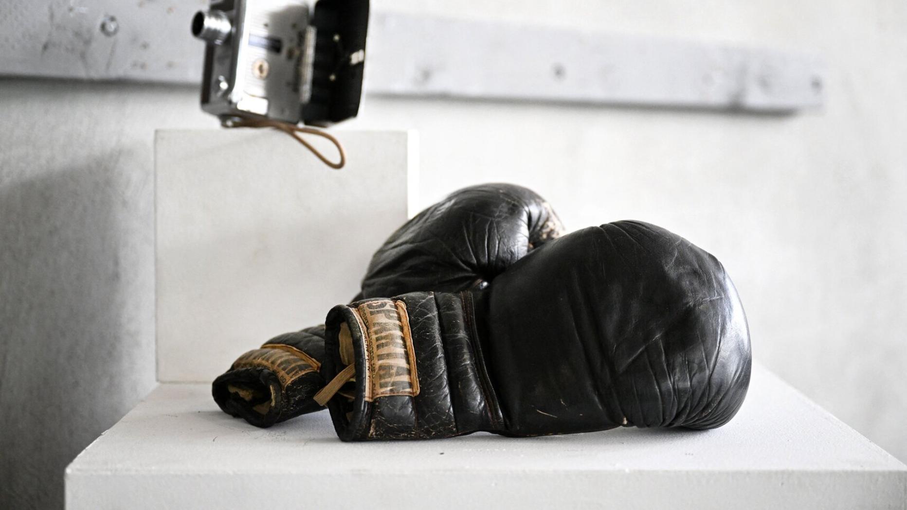 Große Trauer im Boxsport: Daniel Nader mit nur 42 Jahren verstorben ...