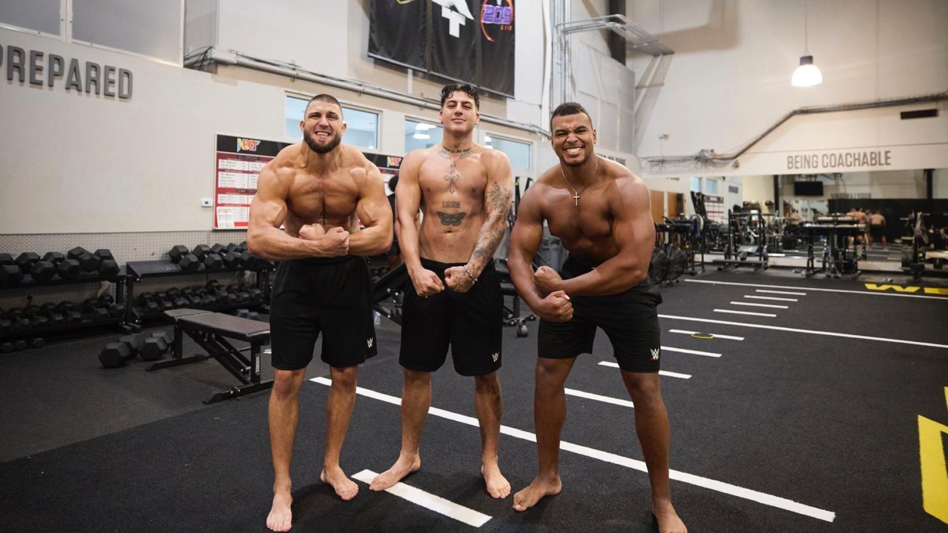 Österreichischer Judoka bekam in den USA Wrestling-Vertrag angeboten ...