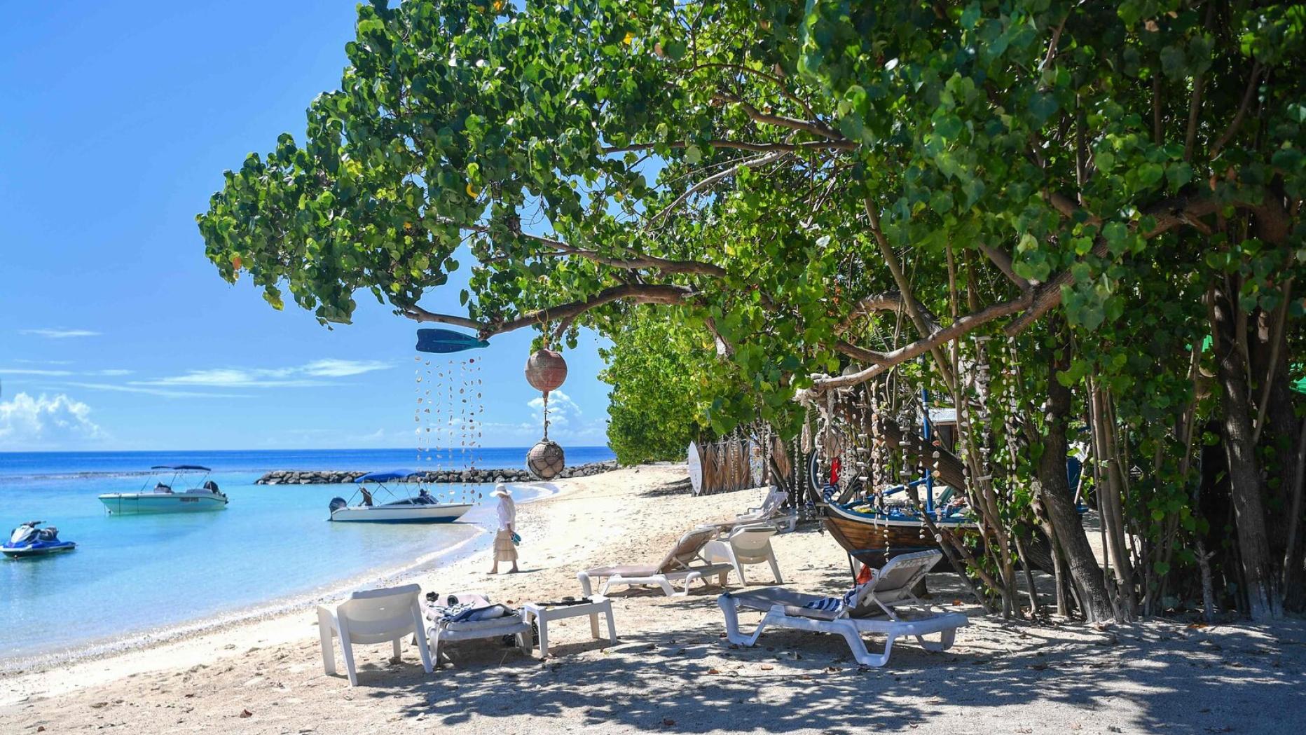 Österreichische Dressurreiterin stirbt beim Tauchurlaub | Kurier