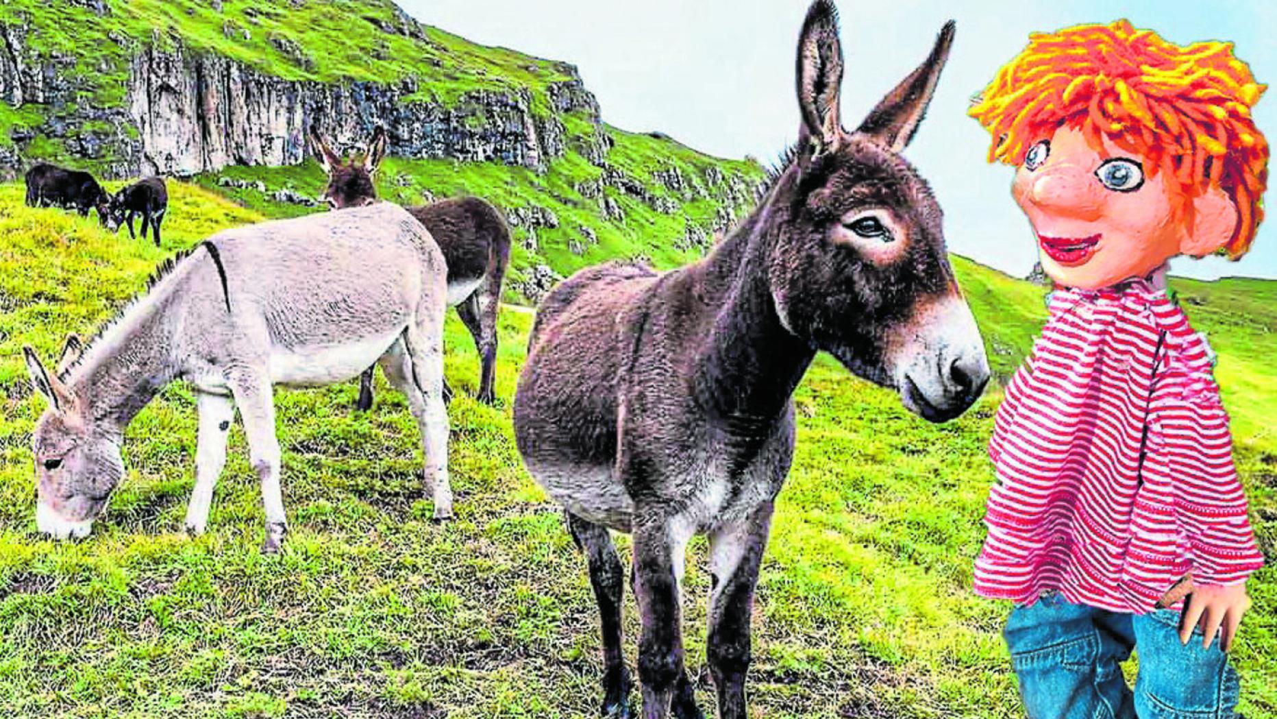 Heute bin ich der Palmesel | Kurier