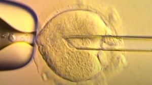 Cumatozze bokep it appears that a great culture of 20