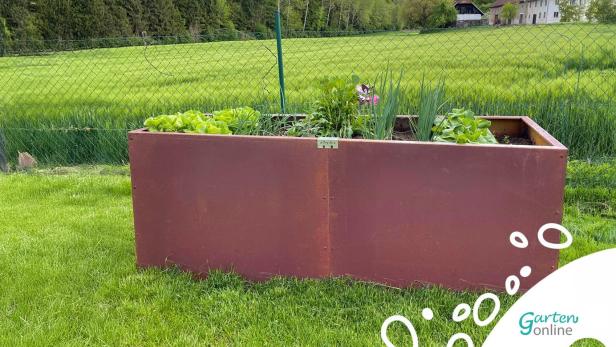 Hochbeet aus Metall: Gartenonline.at erklärt die Kaufkriterien | Kurier